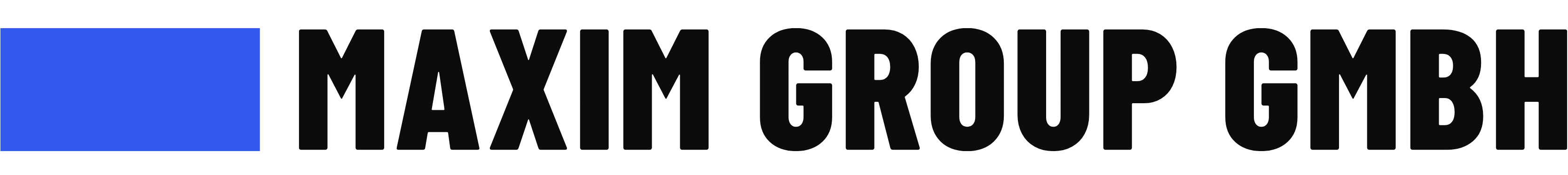MAXIM GROUP GMBH